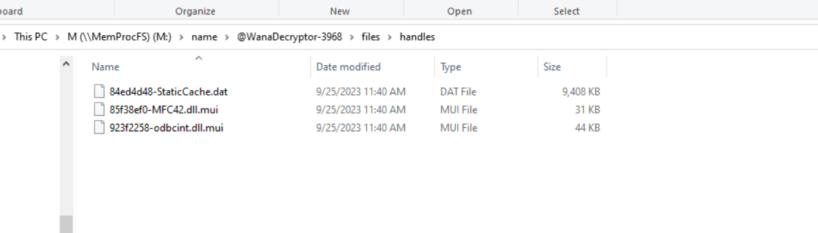 MemProcFS (Part 1) | Scavengers' Repo