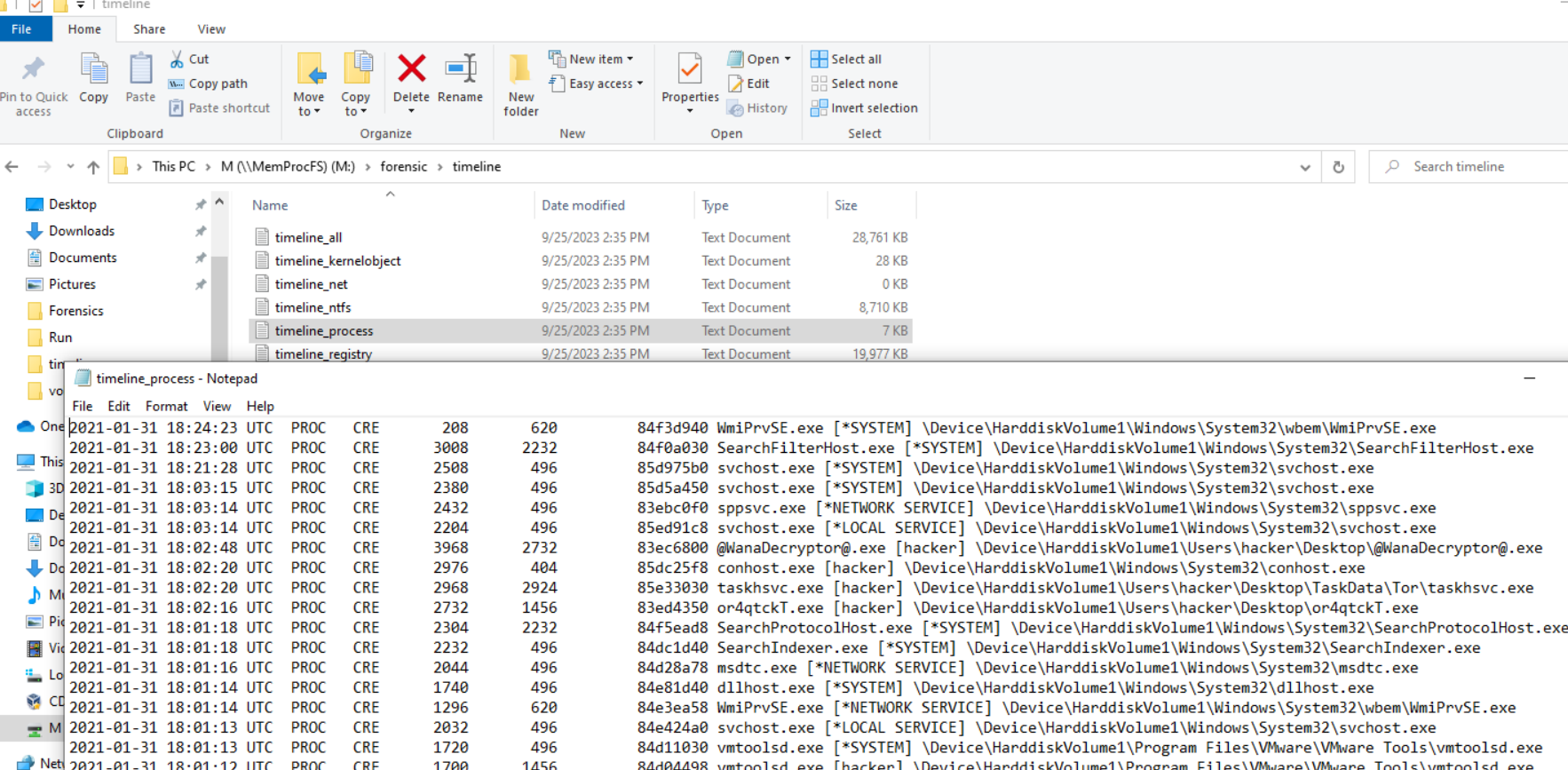 MemProcFS (Part 1) | Scavengers' Repo